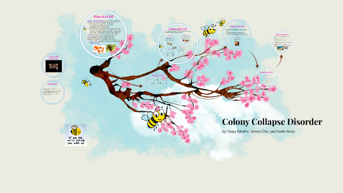 Colony Collapse Disorder by Maya R. on Prezi