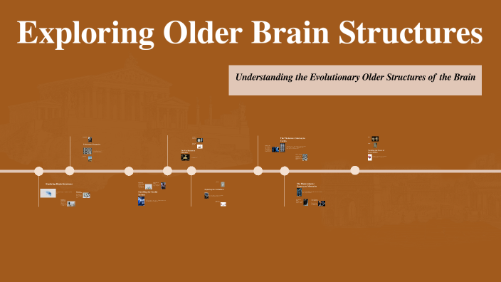 Exploring Older Brain Structures by Jayzlyn Tomisa on Prezi