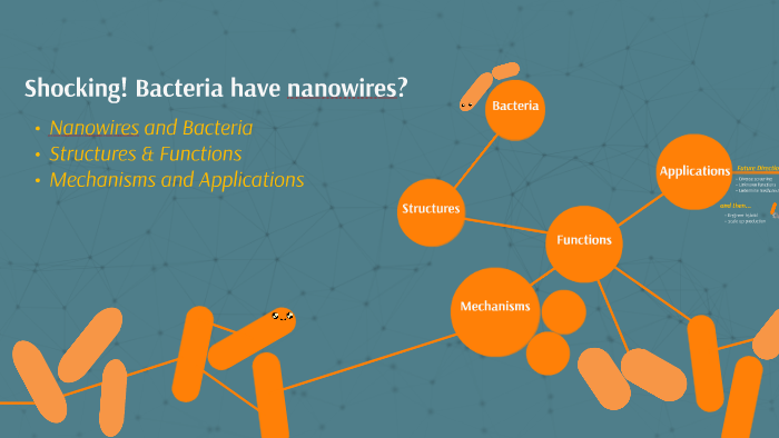 Bacterial Nanowires by Andy Ko on Prezi