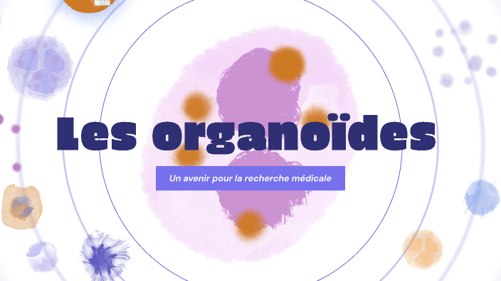 Organoïdes by Toutyest on Prezi