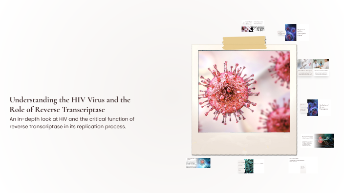 Understanding the HIV Virus and the Role of Reverse Transcriptase by ...