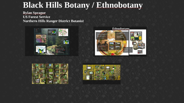 Botany & Ethnobotany by Rylan Sprague on Prezi