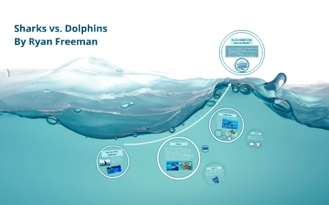 The Difference Between Sharks and Dolphins by on Prezi
