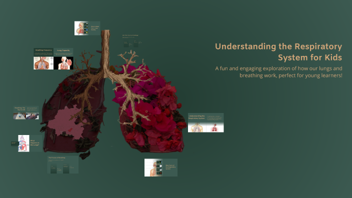 Understanding the Respiratory System for Kids by digori vsihay on Prezi