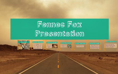 Fennec Fox presentation by quinn akin on Prezi