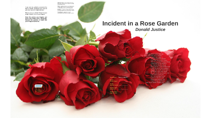 Incident in a Rose Garden by Ana Sophia Dillon