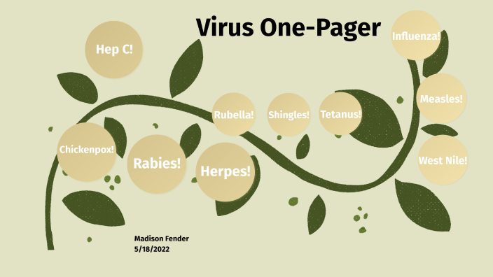 Virus One Pager by Madison Fender on Prezi