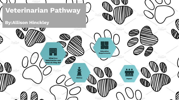 Veterinarian Pathway by ALLISON HINCKLEY on Prezi