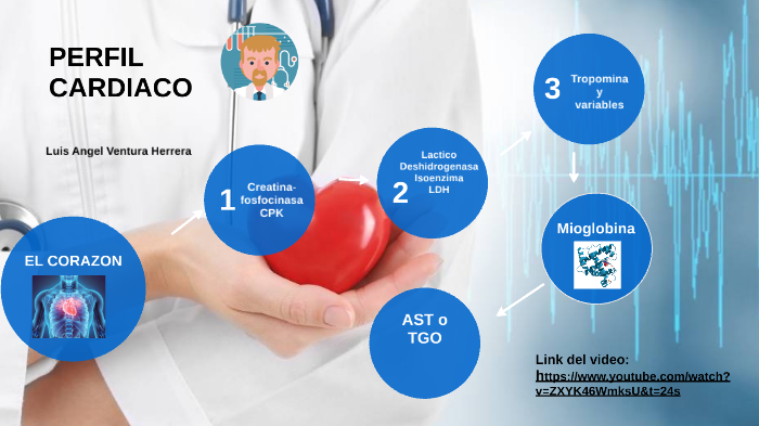 PERFIL CARDÍACO by Luis Angel Ventura H. on Prezi