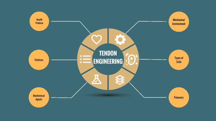 Tendon Engineering by Emma Pauly on Prezi