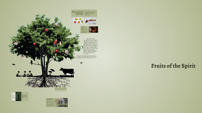 Fruits of the Spirit: A Journey of Growth and Transformation by Daniel ...
