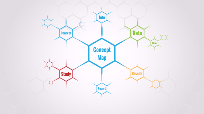 Anatomy Concept Map by Blake Mersman on Prezi