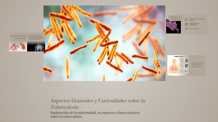 Aspectos Generales y Curiosidades sobre la Tuberculosis by Martina ...