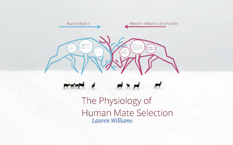 Physiology of Human Mate selection by Lauren Williams on Prezi