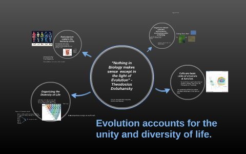 Evolution accounts for the unity and diversity of life. by Diana ...