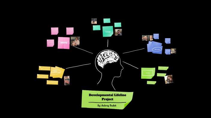 Developmental Lifeline Project by Aubrey Dudek on Prezi