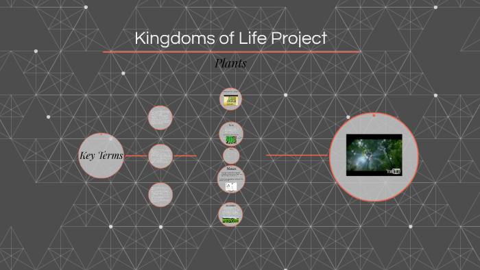 Kingdoms of Life Project by Goobanaker GFX on Prezi
