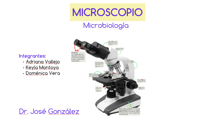 Base o pie: constituye la base del microscopio, ya que es un by Adriana ...