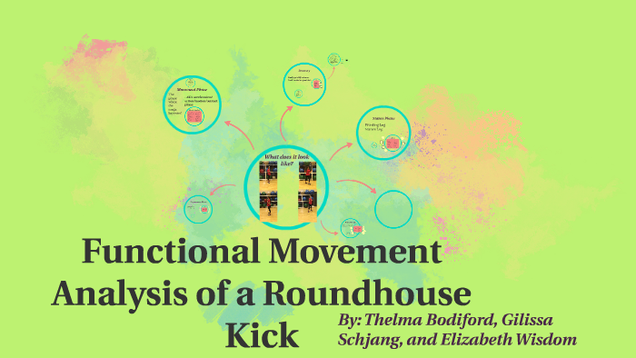 Functional Movement Analysis of a ROUNDHOUSE KICK by Liz Wisdom on ...