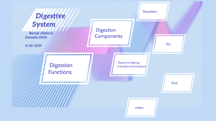 Digestive System Science Project by BAINAT ABDUL on Prezi