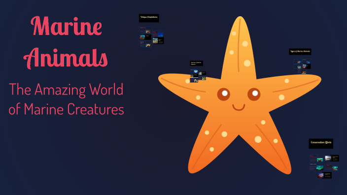 Marine Animals by CRISTEA MONICA on Prezi