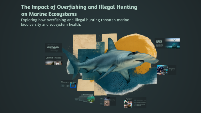 The Impact of Overfishing and Illegal Hunting on Marine Ecosystems by ...