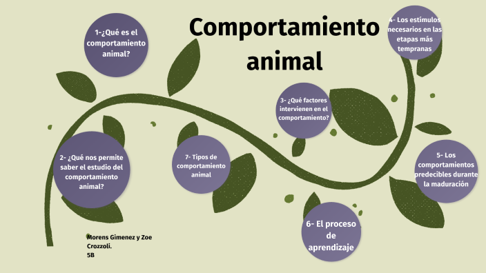 Comportamiento animal by morena gimenez on Prezi