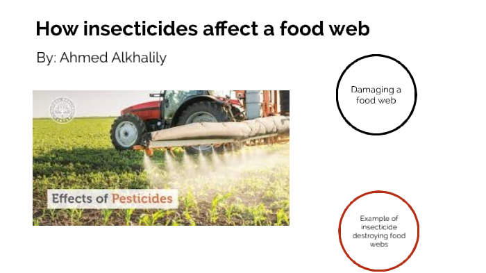 How insecticides affect a food web by Ahmed Alkhalily on Prezi