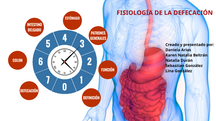 Defecación by Natalia Duran on Prezi