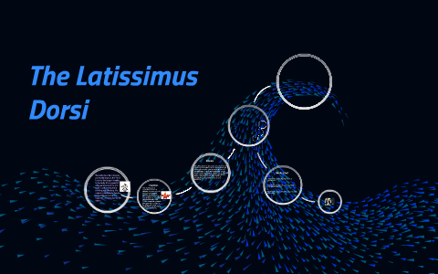 The Latissimus Dorsi by Alexis Sorto on Prezi