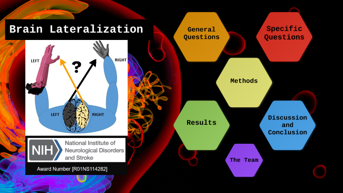 Brain Lateralization in Children by Jorge Zuniga on Prezi