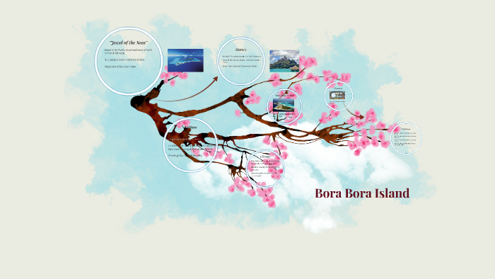 Bora Bora Island by Andrea Cossio