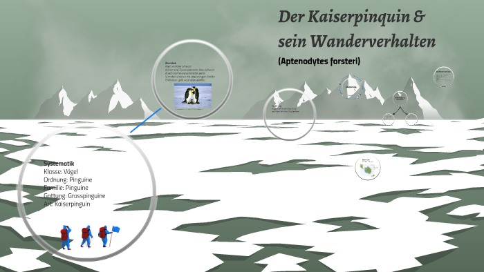 Der Kaiserpinguin by Laura Hilpert on Prezi