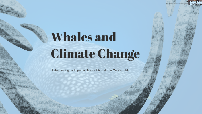 Whales and Climate Change by on Prezi