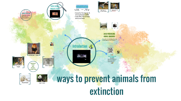 ways to prevent animals from extinction by jiahui ho on Prezi