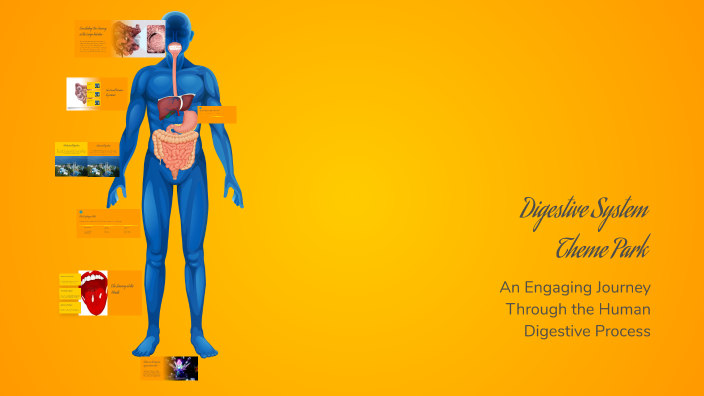 Digestive System Theme Park by Jaime Adolfo Castro Cardenas on Prezi