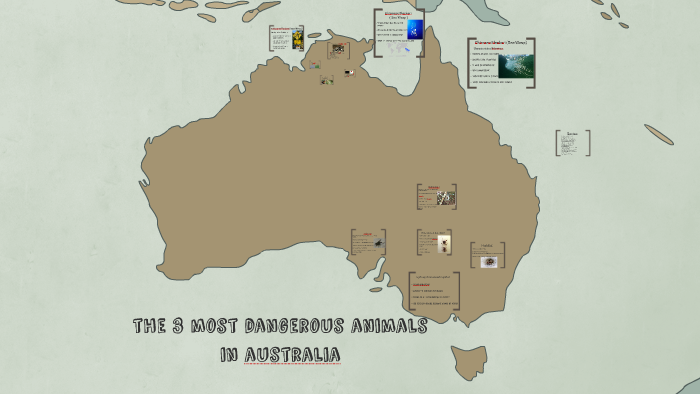 australias most dangerous animals by efe yar on Prezi