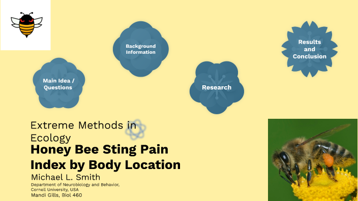 Honey Bee Pain Presentation by Mandi Gills on Prezi