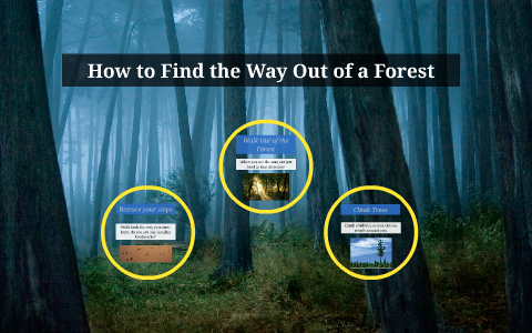How to Find Your Way Out of a Forest by Katherine Pierce on Prezi