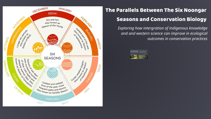 The Six Noongar Seasons and Conservation Biology by Erin Greenwood on Prezi