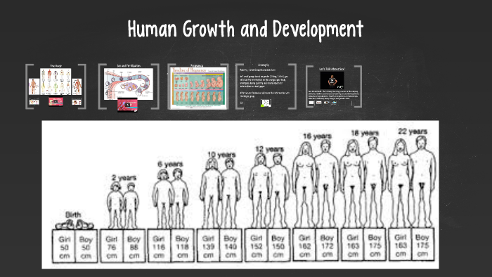 Human Growth and Development by Jared Budd on Prezi