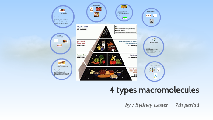 4 types macromolecules by sydney lester on Prezi