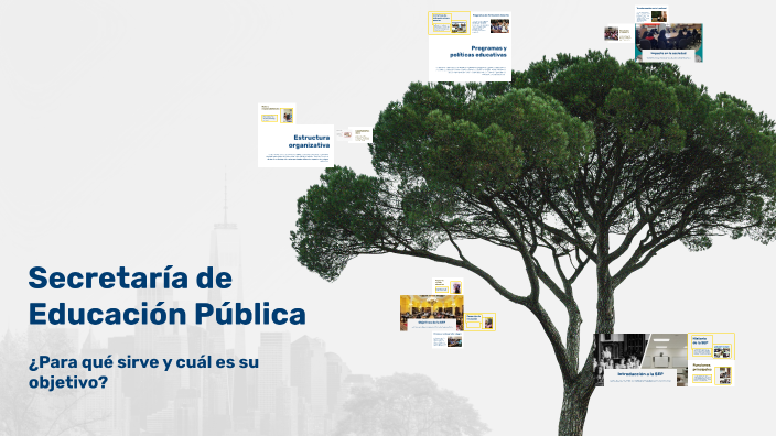 Secretaría de Educación Pública by felipe cedillo on Prezi