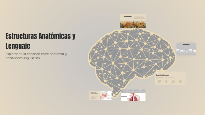 Estructuras Anatómicas y Lenguaje by DALIA FERNANDA JARAMILLO ARIZA on ...