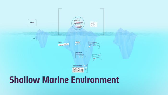 Shallow Marine Enviroment by Abdulla Abo-Alazm on Prezi