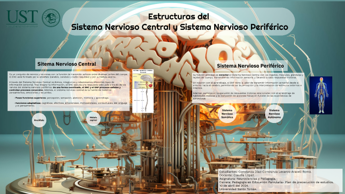 Estructuras SNC y SNP by Araceli Romo on Prezi