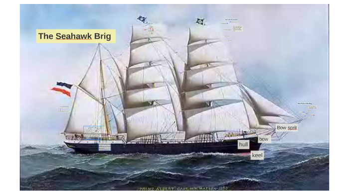 The Seahawk Ship by sherin yeldho on Prezi