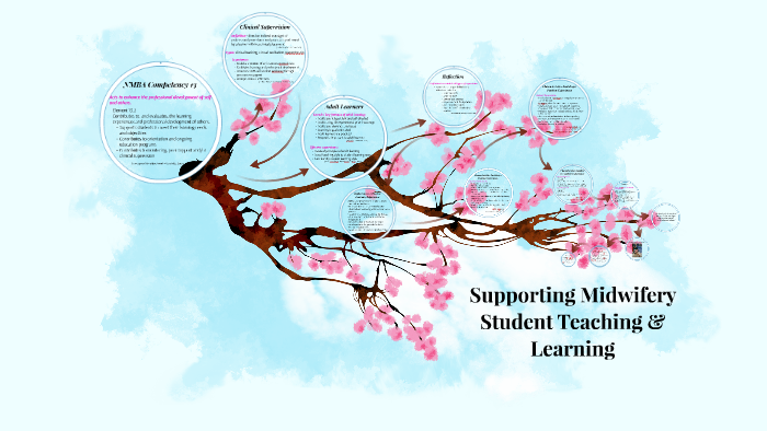 Supporting Midwifery Student Teaching & Learning by Anna Haworth on Prezi