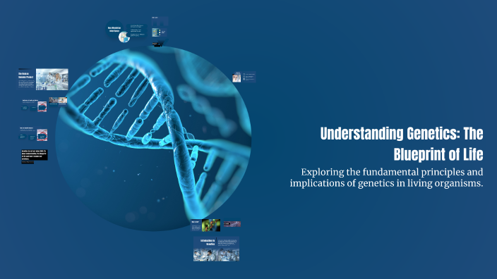 Understanding Genetics: The Blueprint of Life by John Doe on Prezi