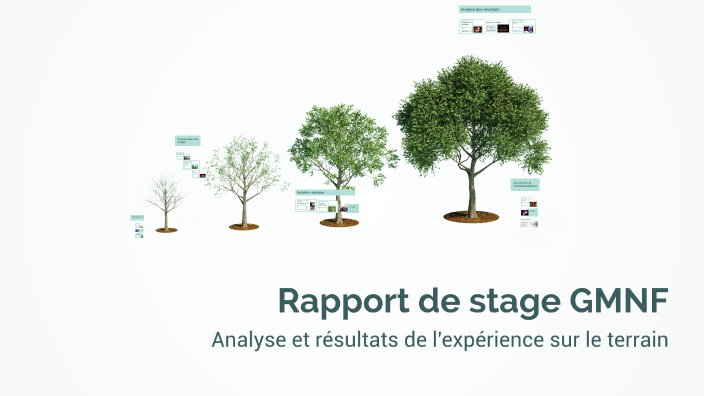 Rapport de stage GMNF by Diego Tondusson on Prezi